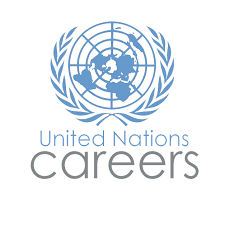 Different Job Positions at the United Nations | IMBERE